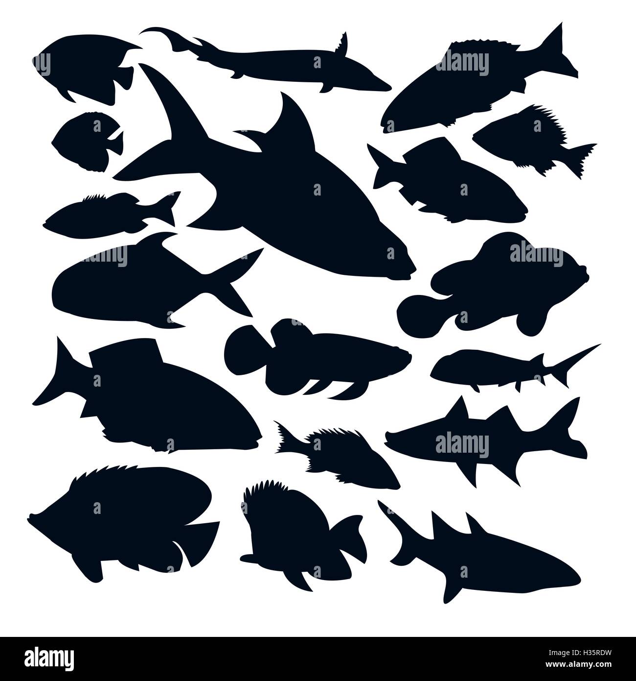 Vector fish silhouettes isolated Stock Vector Image & Art - Alamy