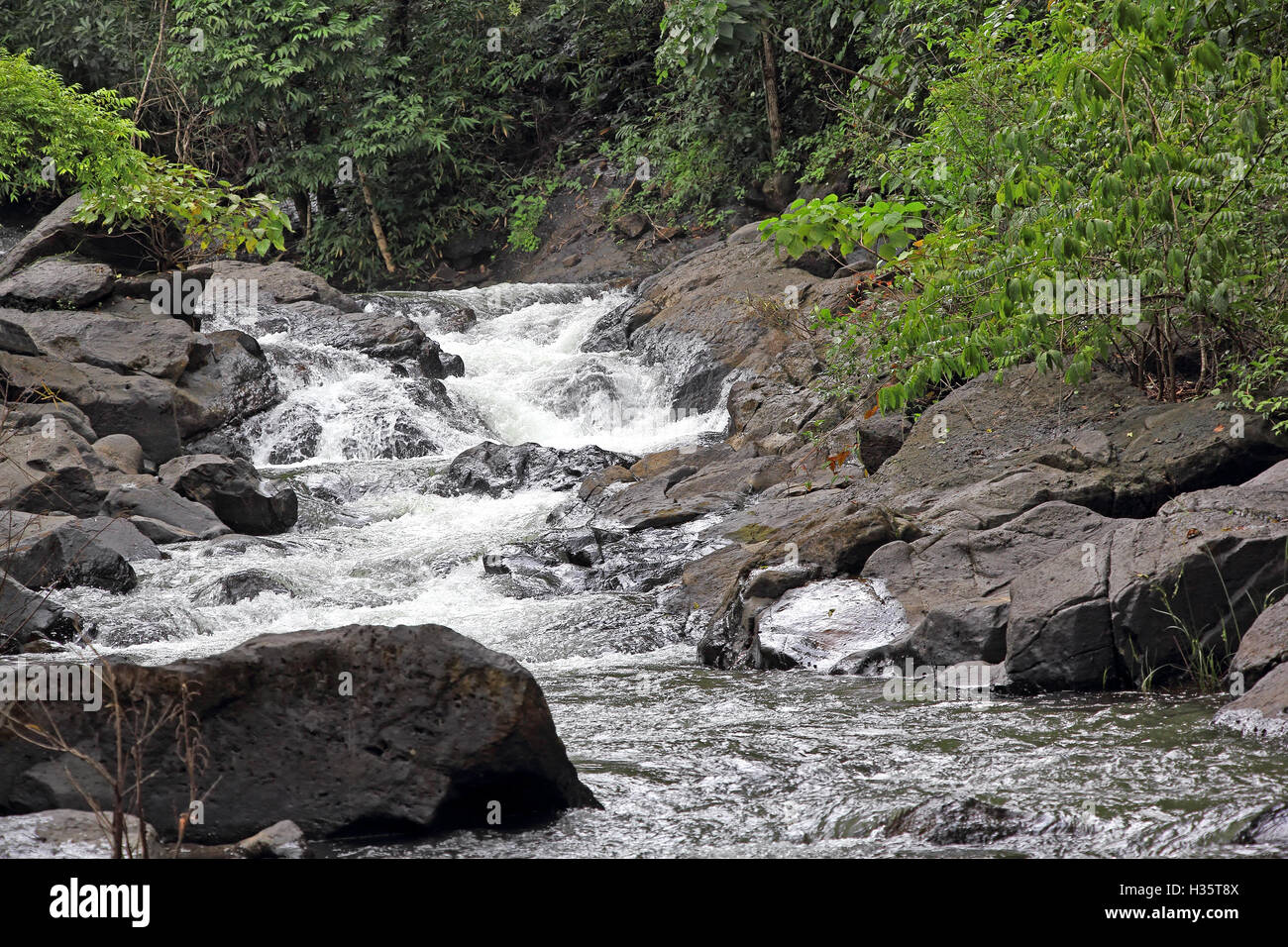 Salaulim river, a tributary of Zuari River, flowing through the rugged ...