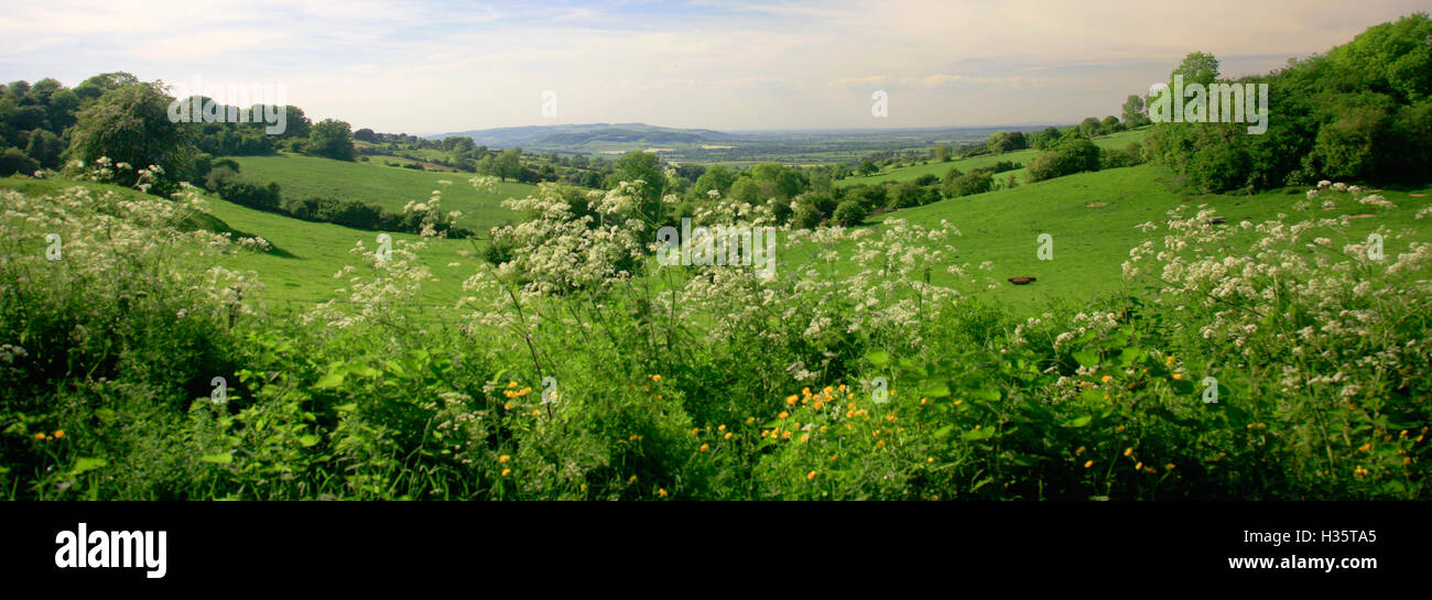 Spring landscape April May Broadwell village Gloucestershire Cotswolds ...