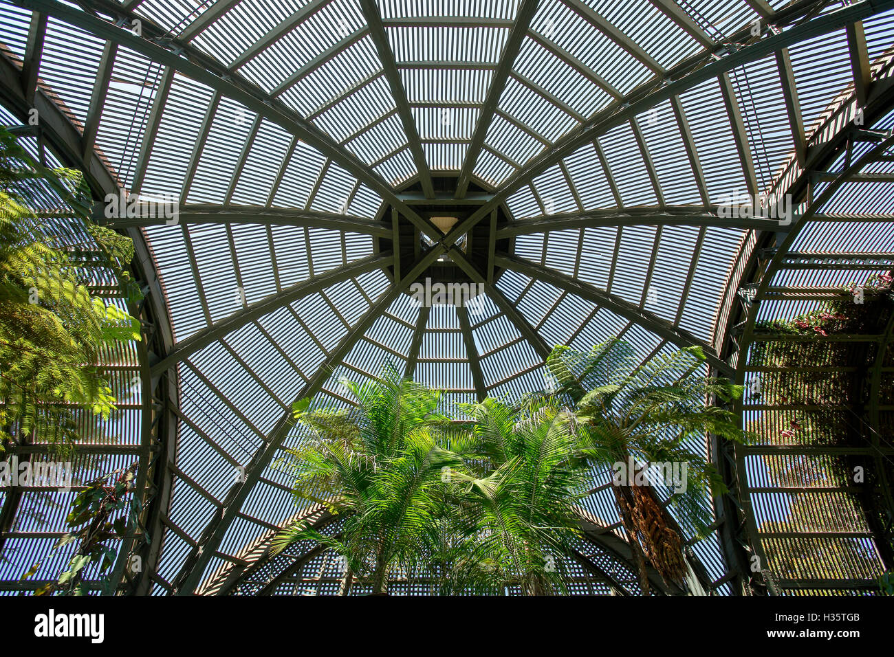 Dome and ferns, Botanical Building, Balboa Park, San Diego, California ...