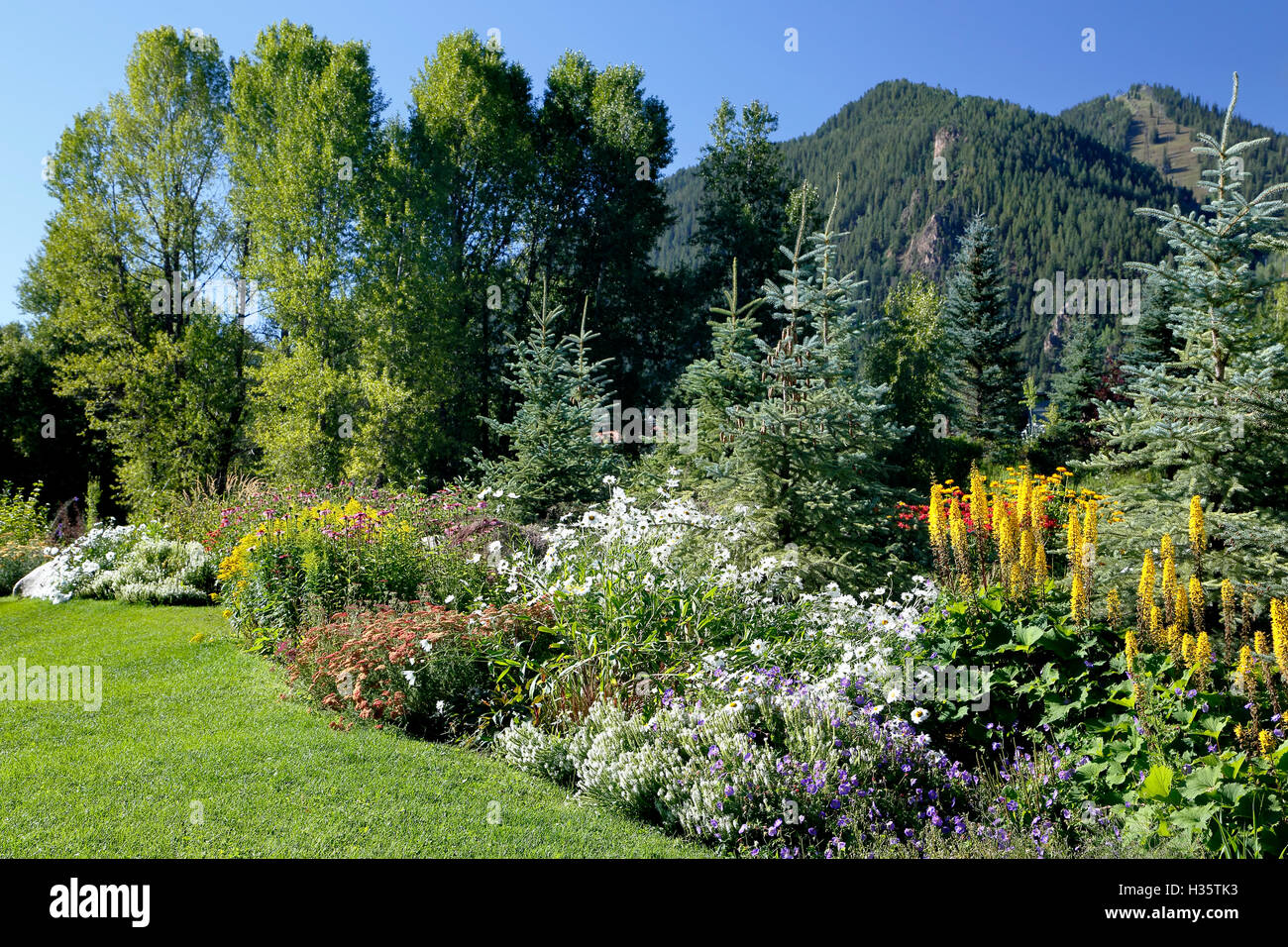 Mountains, flowers and trees, John Denver Sanctuary, Aspen, Colorado ...