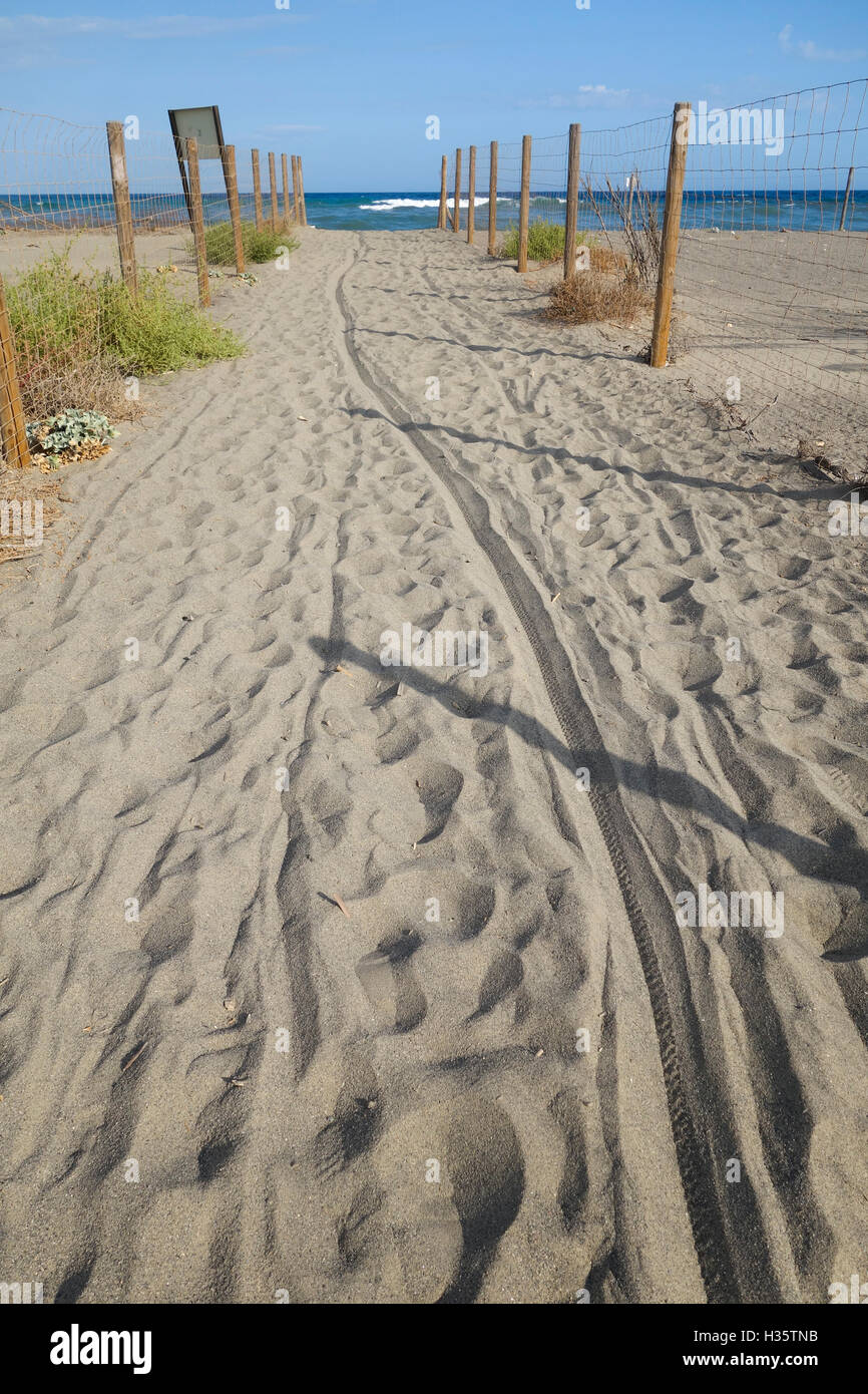 Sandy beach passage with prints of bikes and people. Natural reserve ...