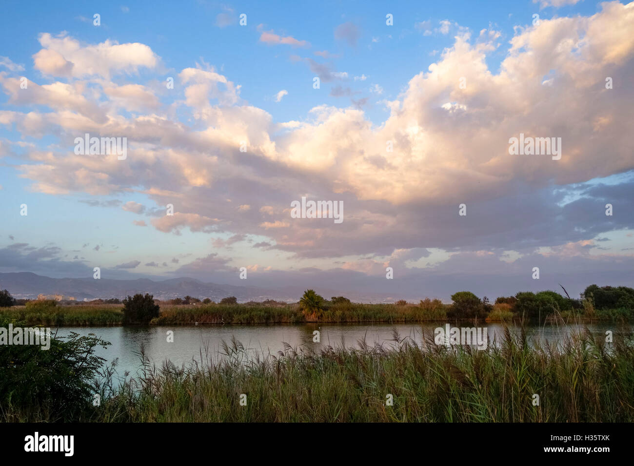 Guadalhorce estuary nature reserve hi-res stock photography and images ...