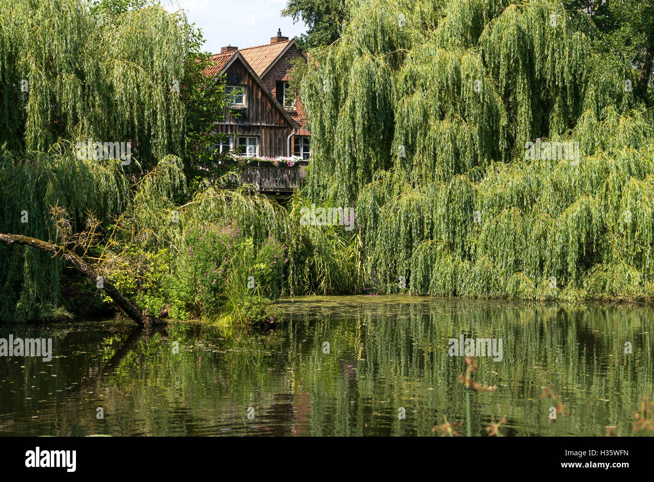 Spa park molln hi-res stock photography and images - Alamy