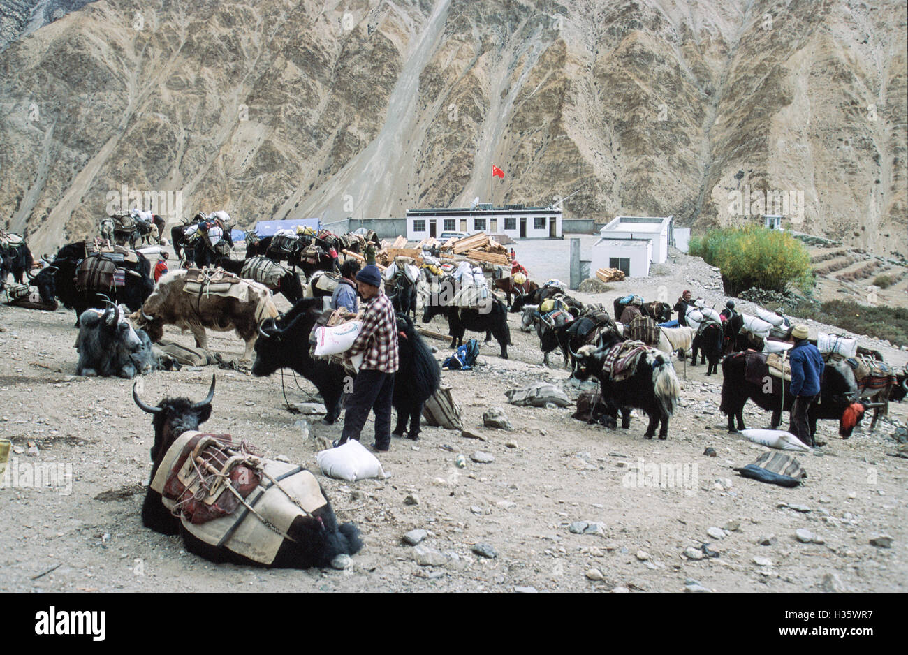 Yak circle hi-res stock photography and images - Alamy