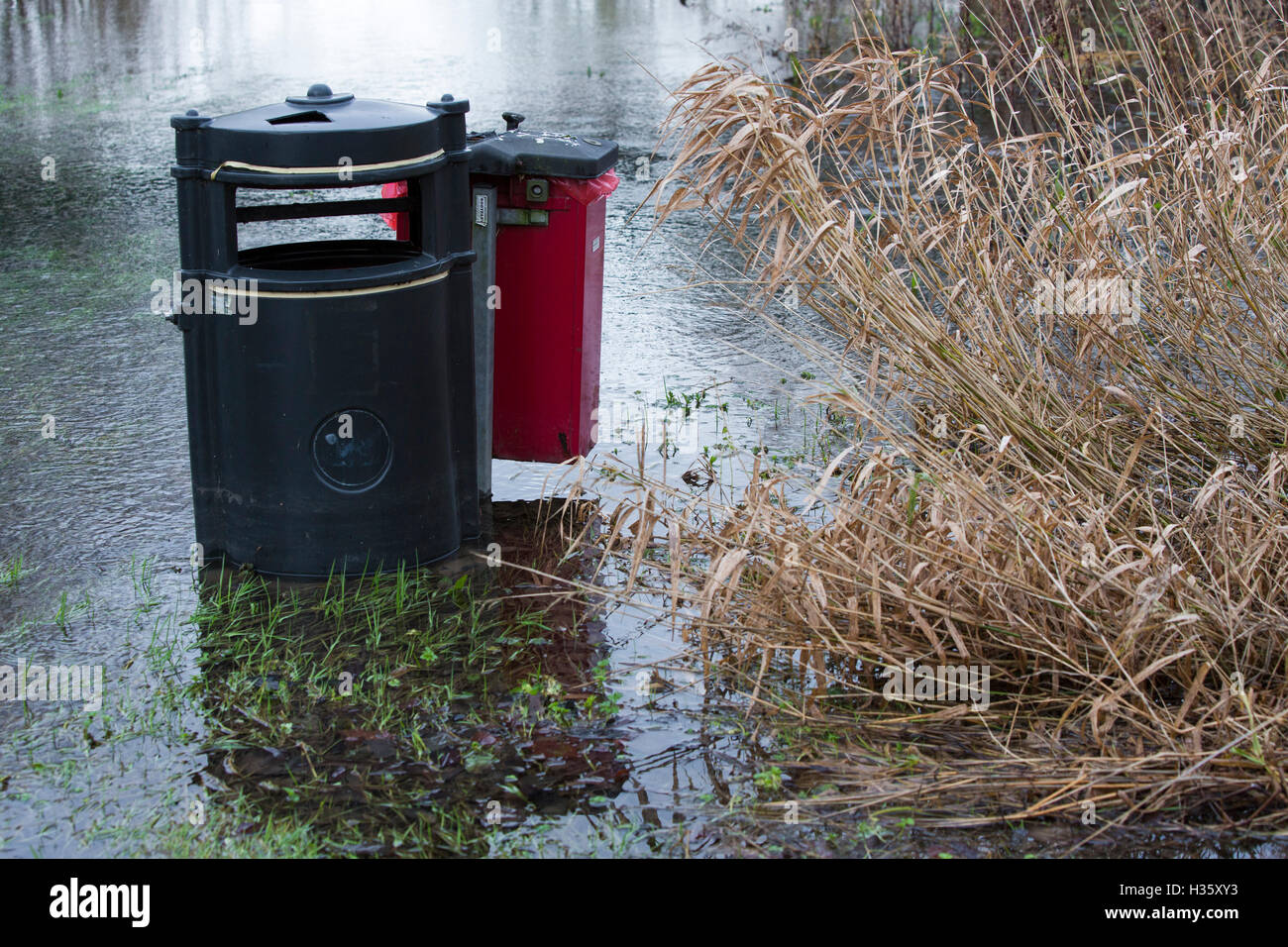A rubbish or waste bin submerged half underwater after heavy rain in ...