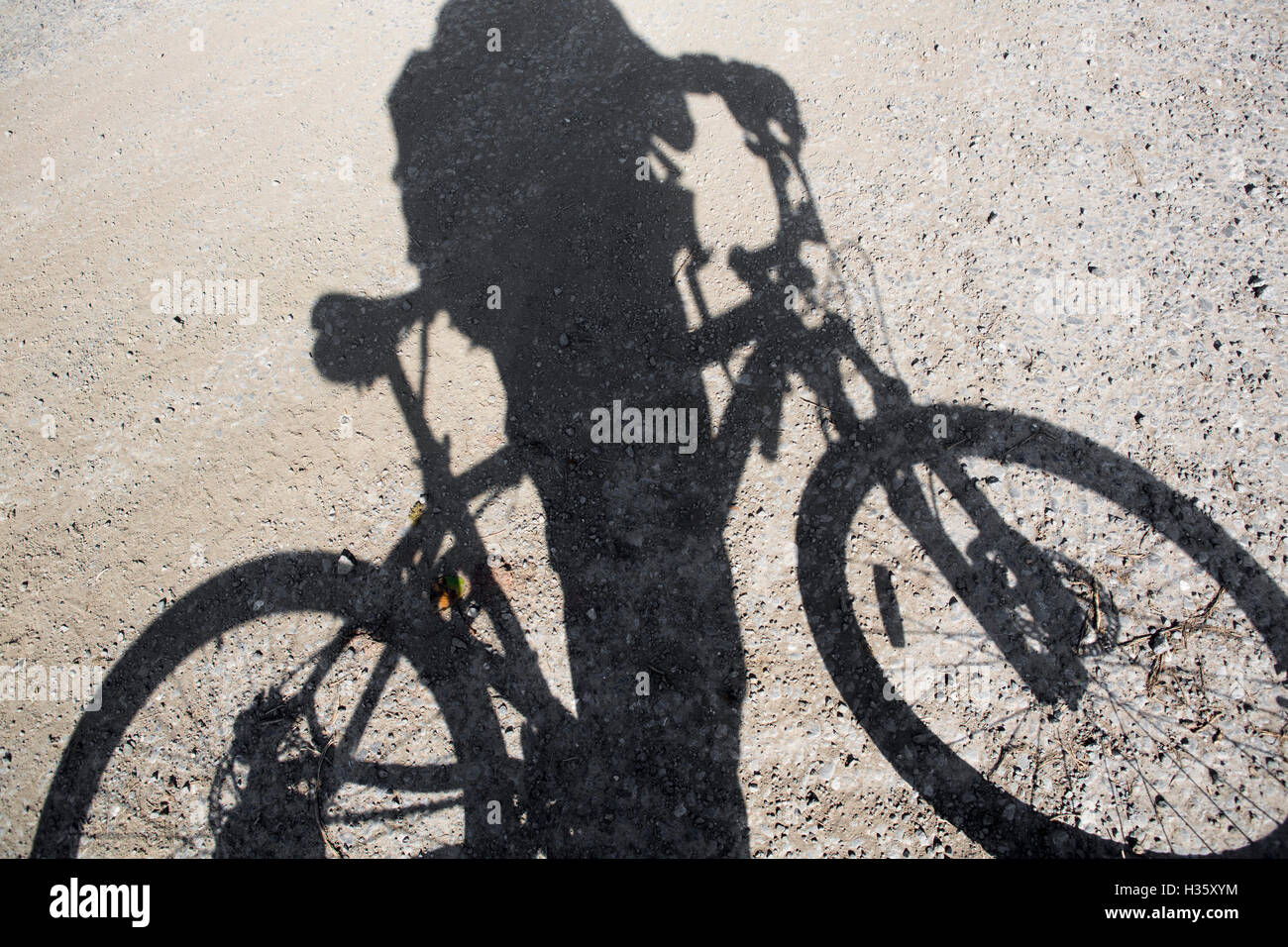 Shadow of a mountain bike cast on the muddy road or path in the bright ...