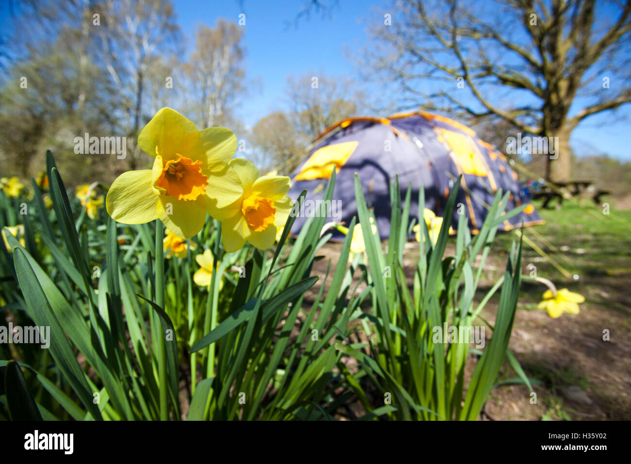 Rachael Oakden and family, husband Gareth, and sons Arthur (orange top ...