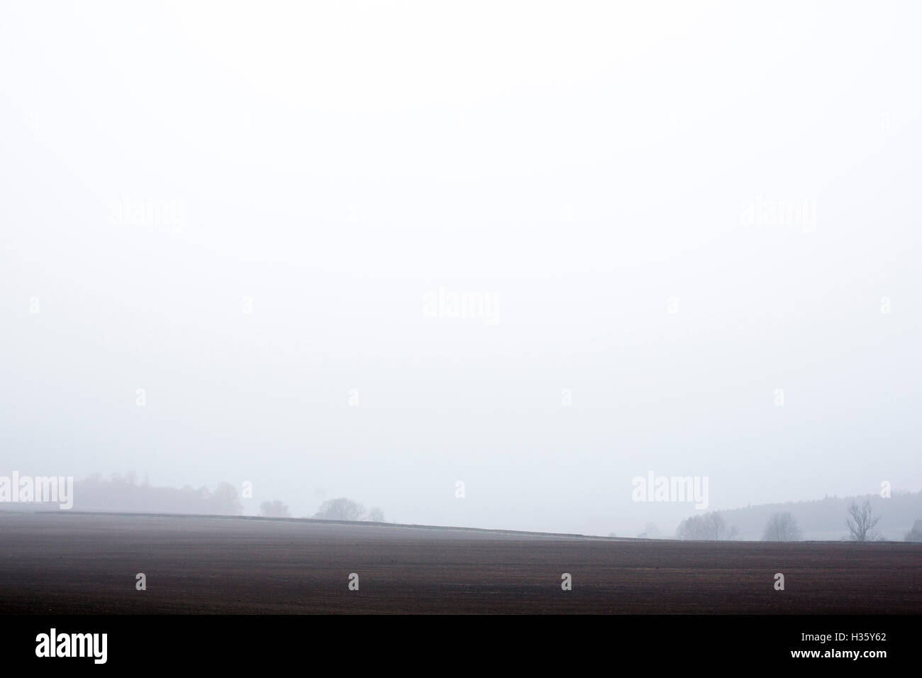 Misty morning country landscape with fields, trees and hedges Stock ...