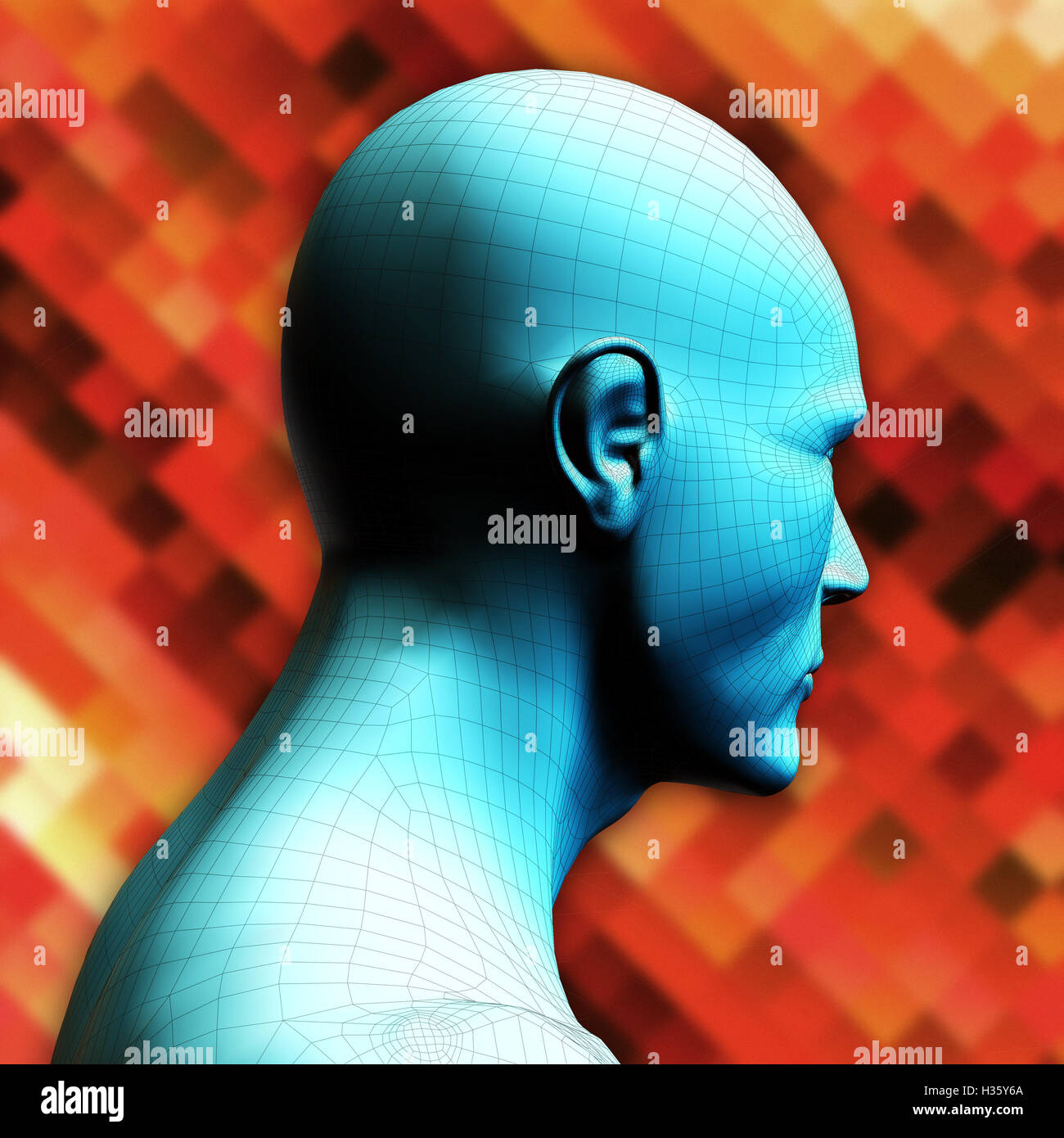 3d head anatomy hi-res stock photography and images - Alamy