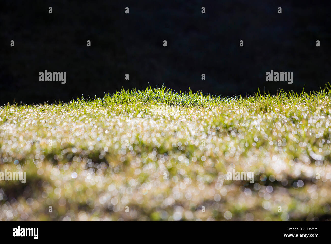 Glinting sunshine hi-res stock photography and images - Alamy