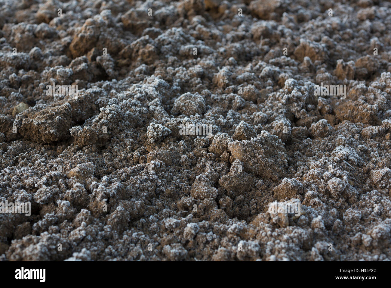 Close up of frosty soil Stock Photo - Alamy