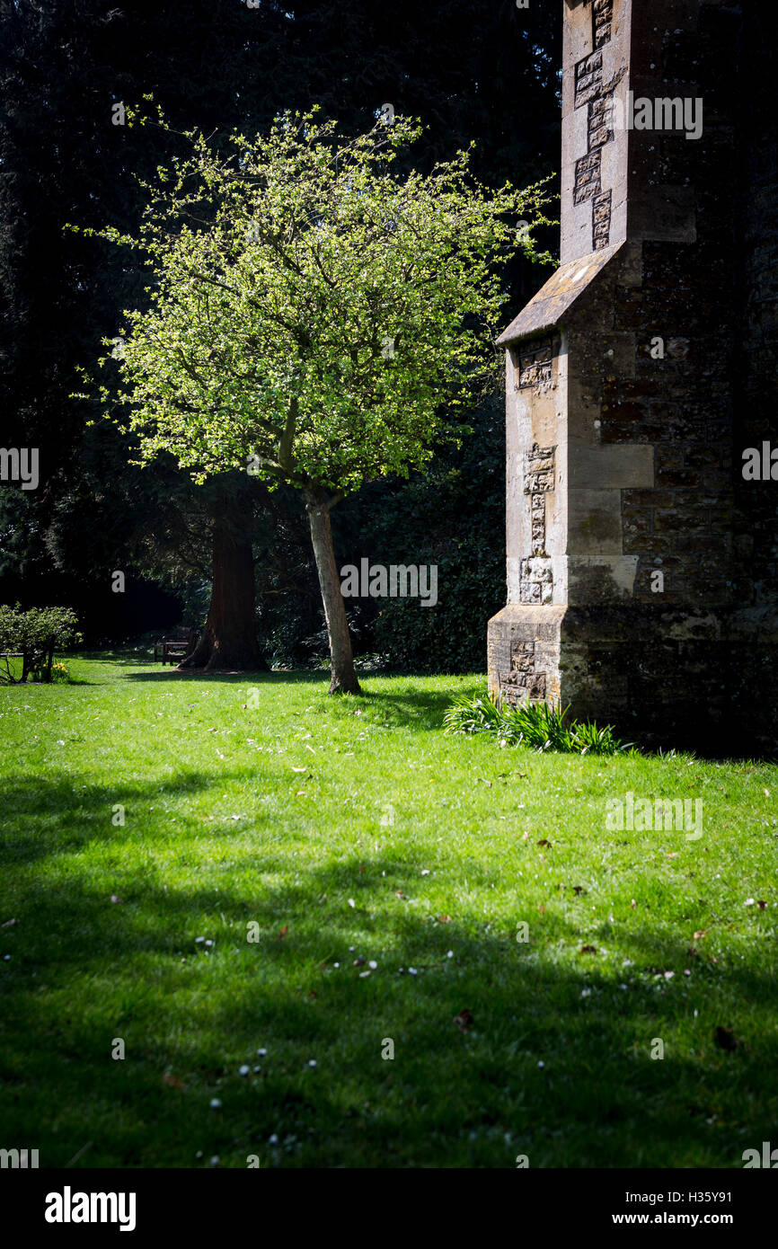 Church yard with brightly lit tree in spring sunshine Stock Photo - Alamy