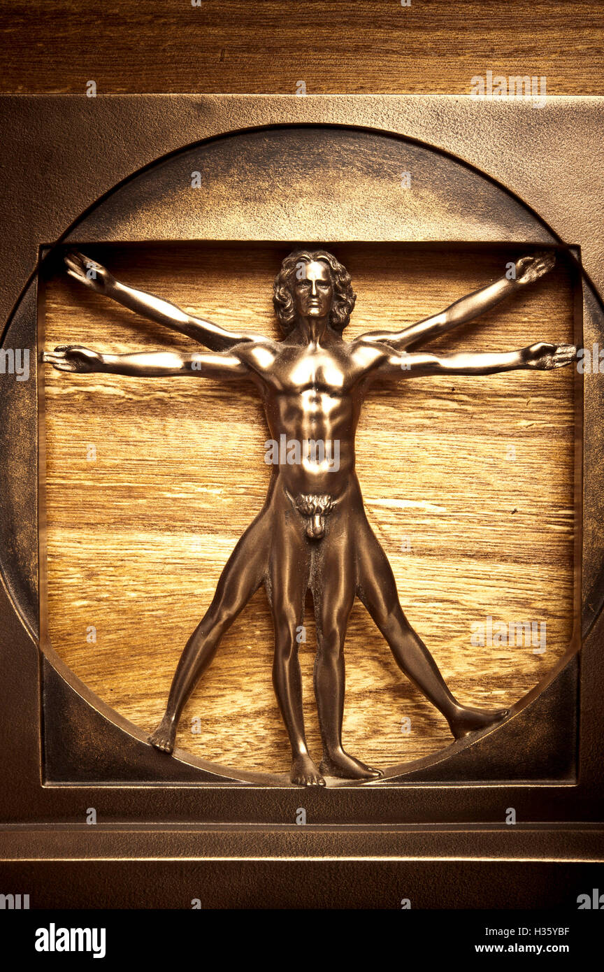 Vitruvian man sculpture Stock Photo - Alamy