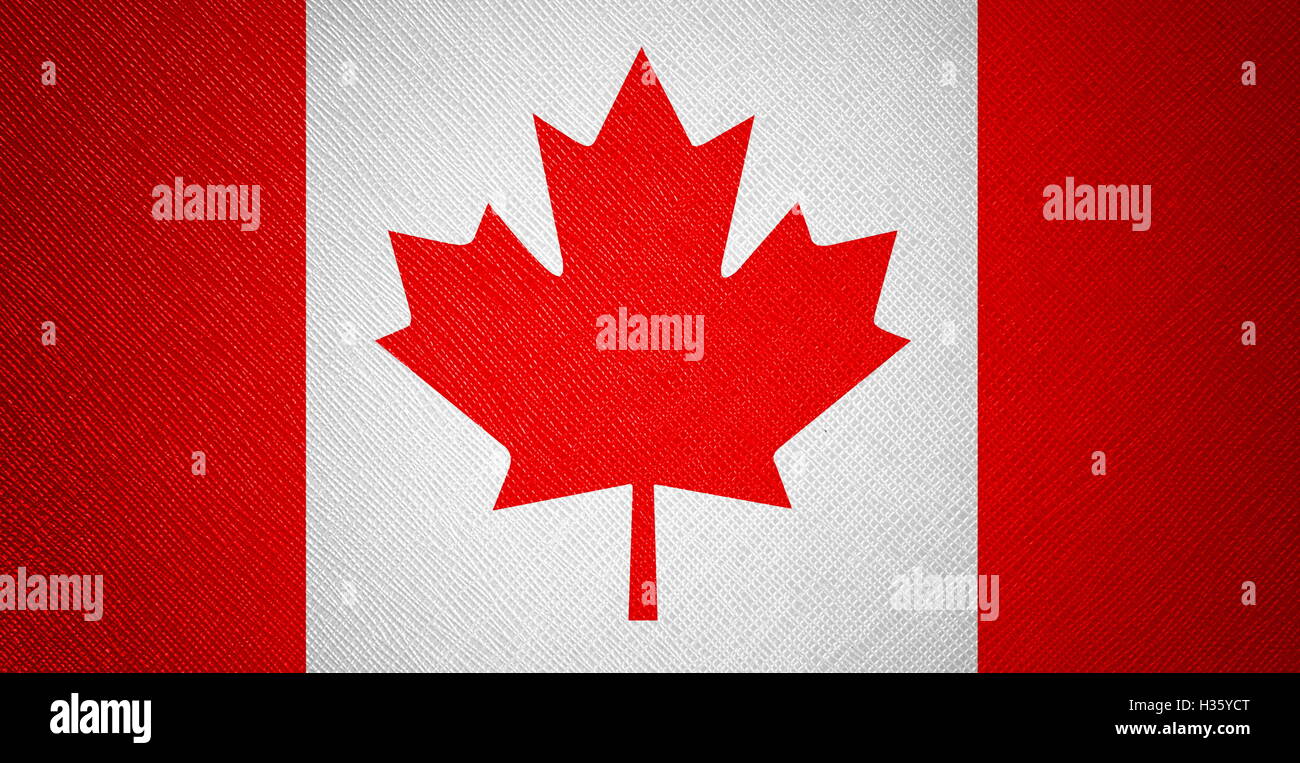 Canada flag leather texture Stock Photo - Alamy