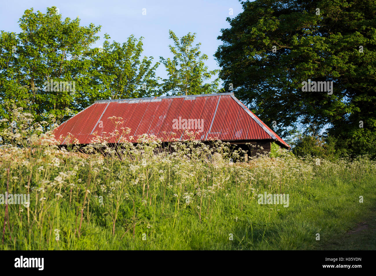 Metal cladding farm roof hi-res stock photography and images - Alamy