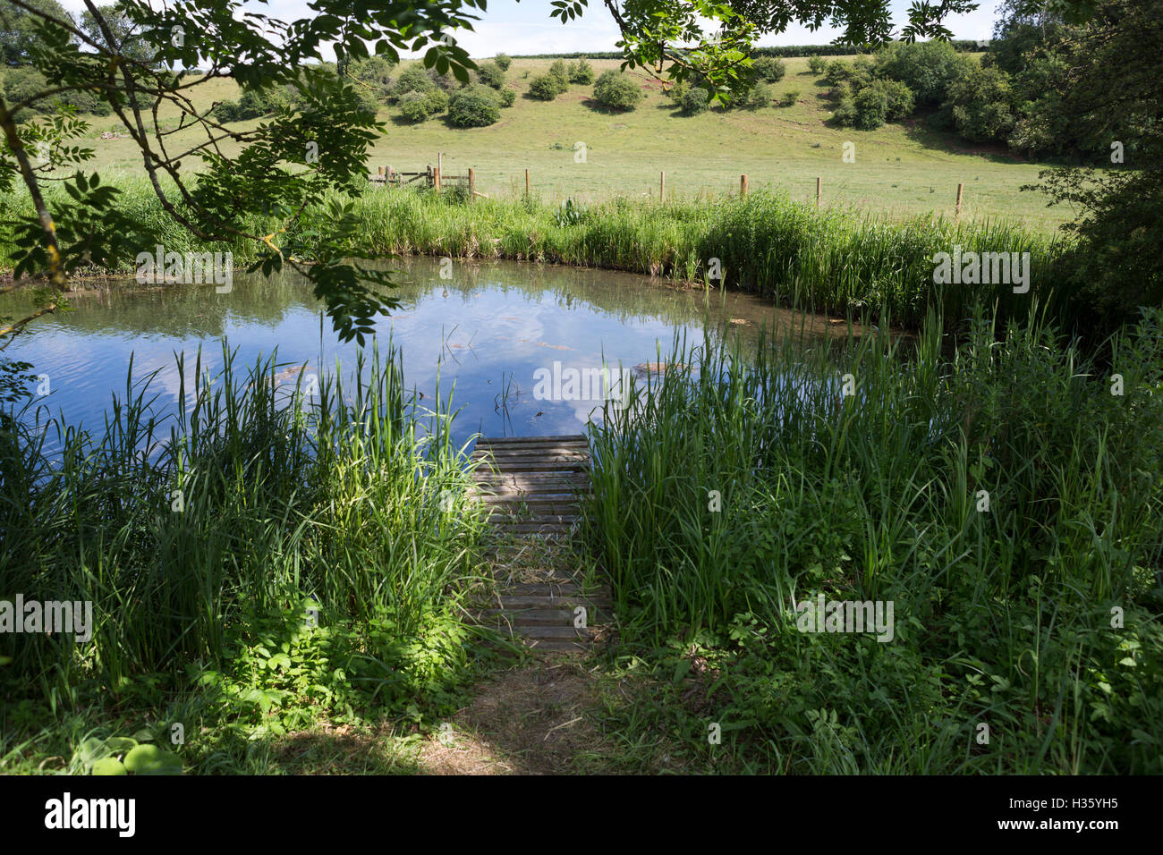 Simple wooden jetty hi-res stock photography and images - Alamy