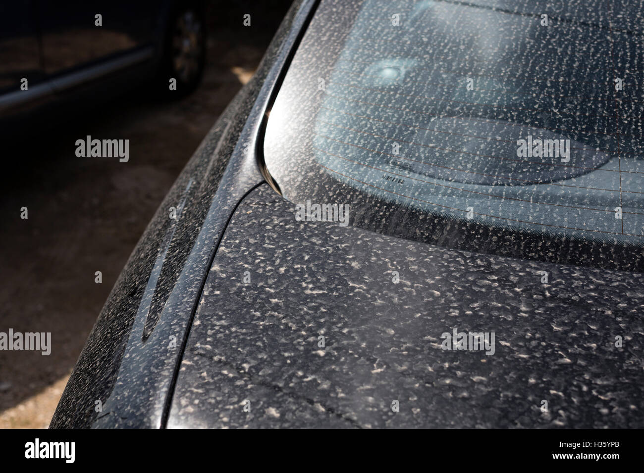 Black car covered in dirt from dusty rain Stock Photo - Alamy