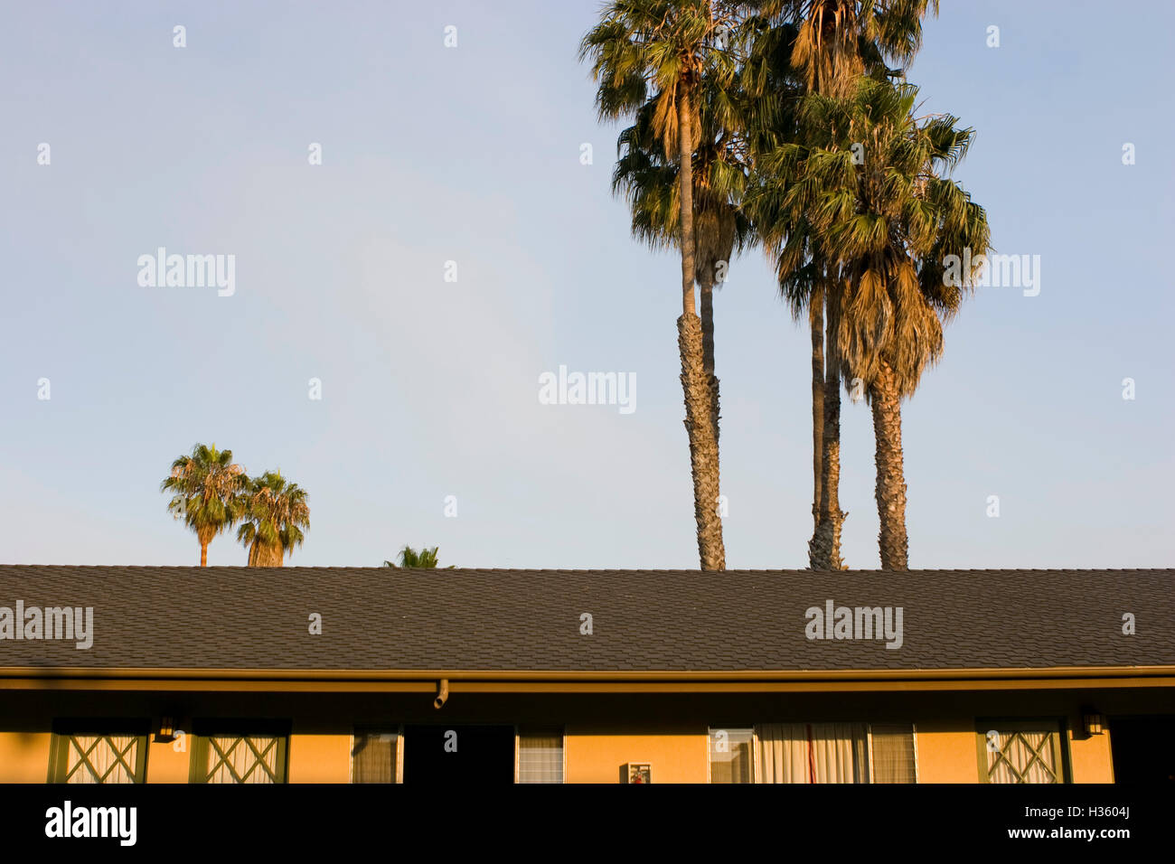 Motel roof with palm trees in California, USA Stock Photo - Alamy