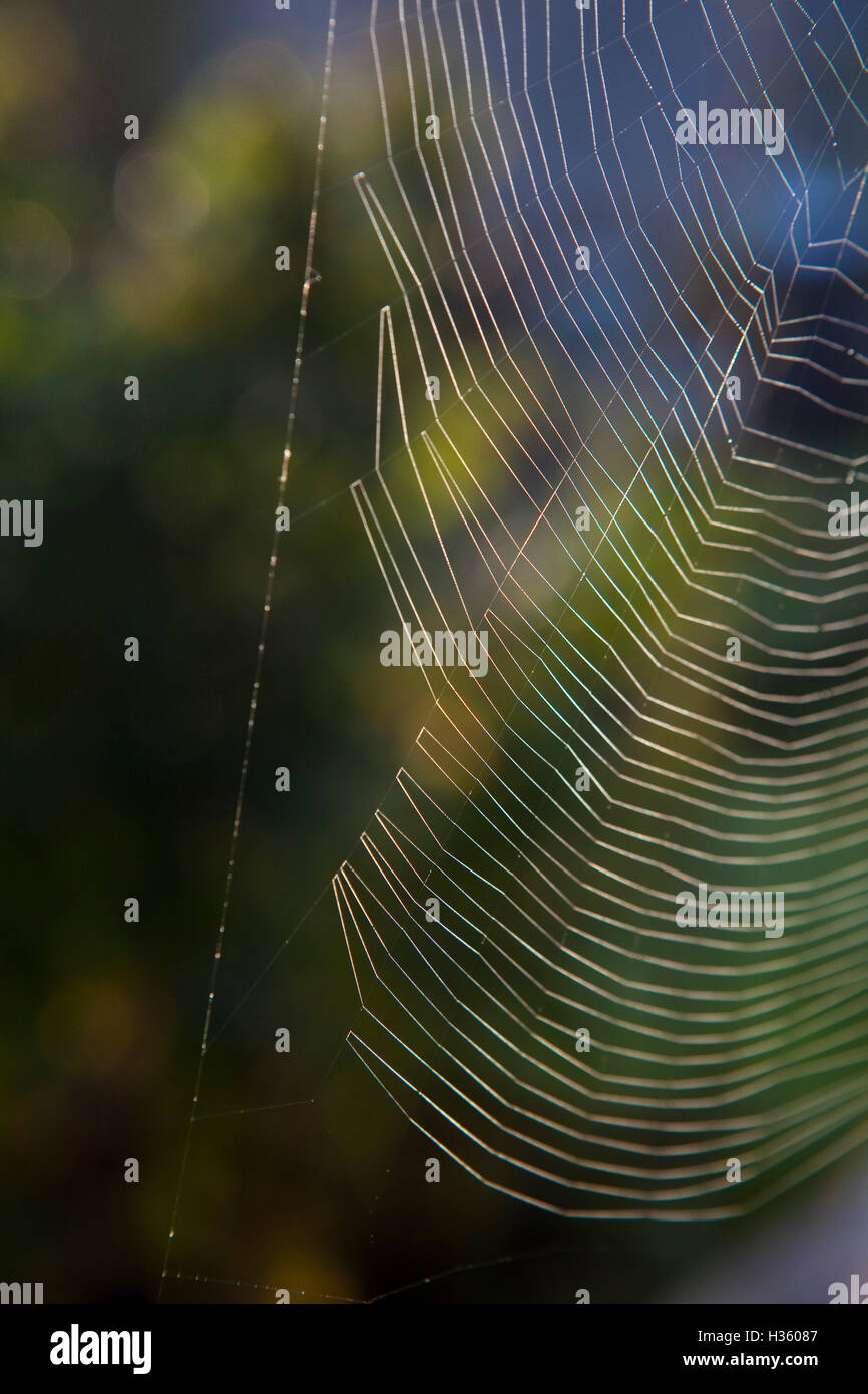 Delicate construction hi-res stock photography and images - Alamy