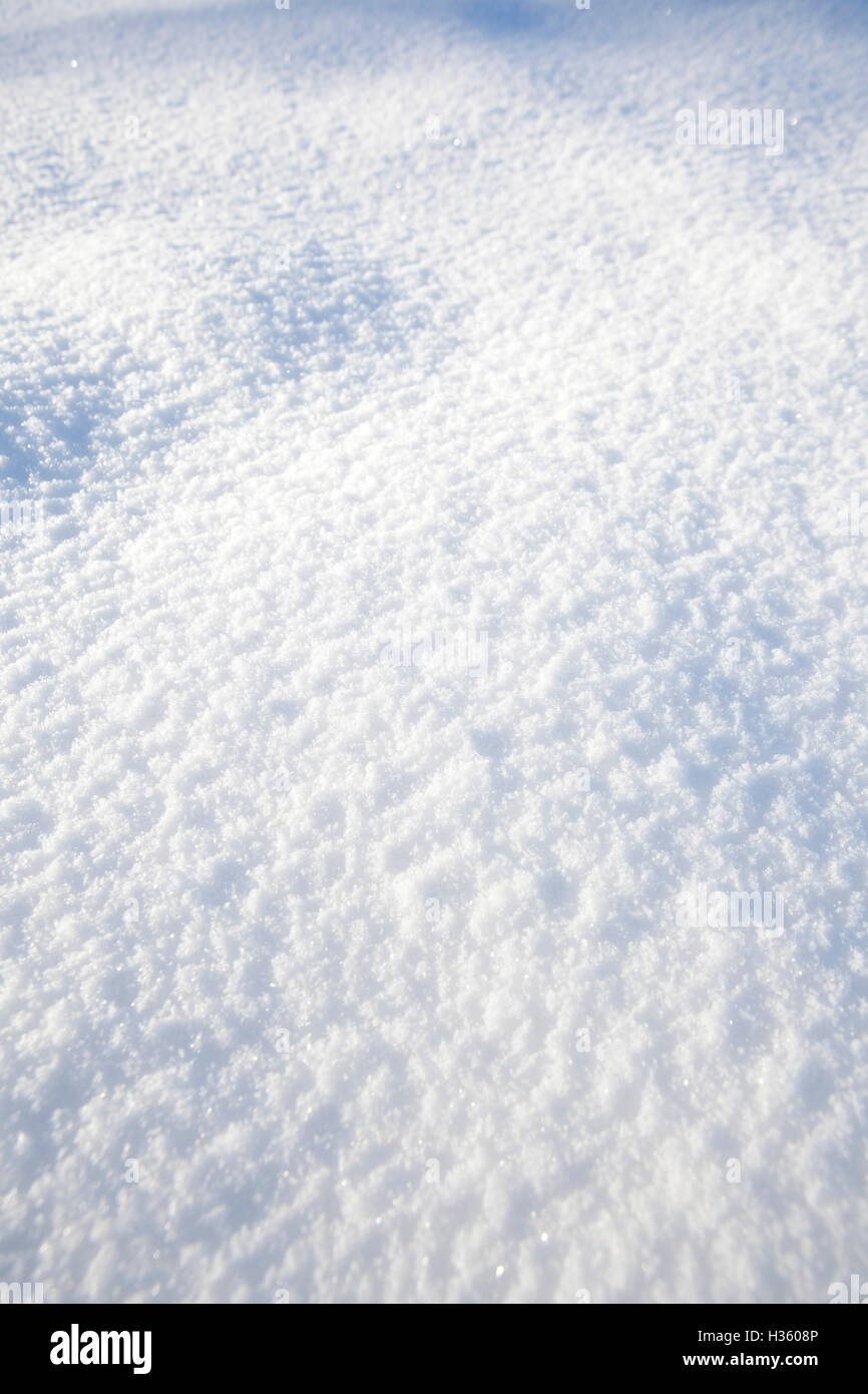 Close up detail of snow laying on the ground and covering everything ...