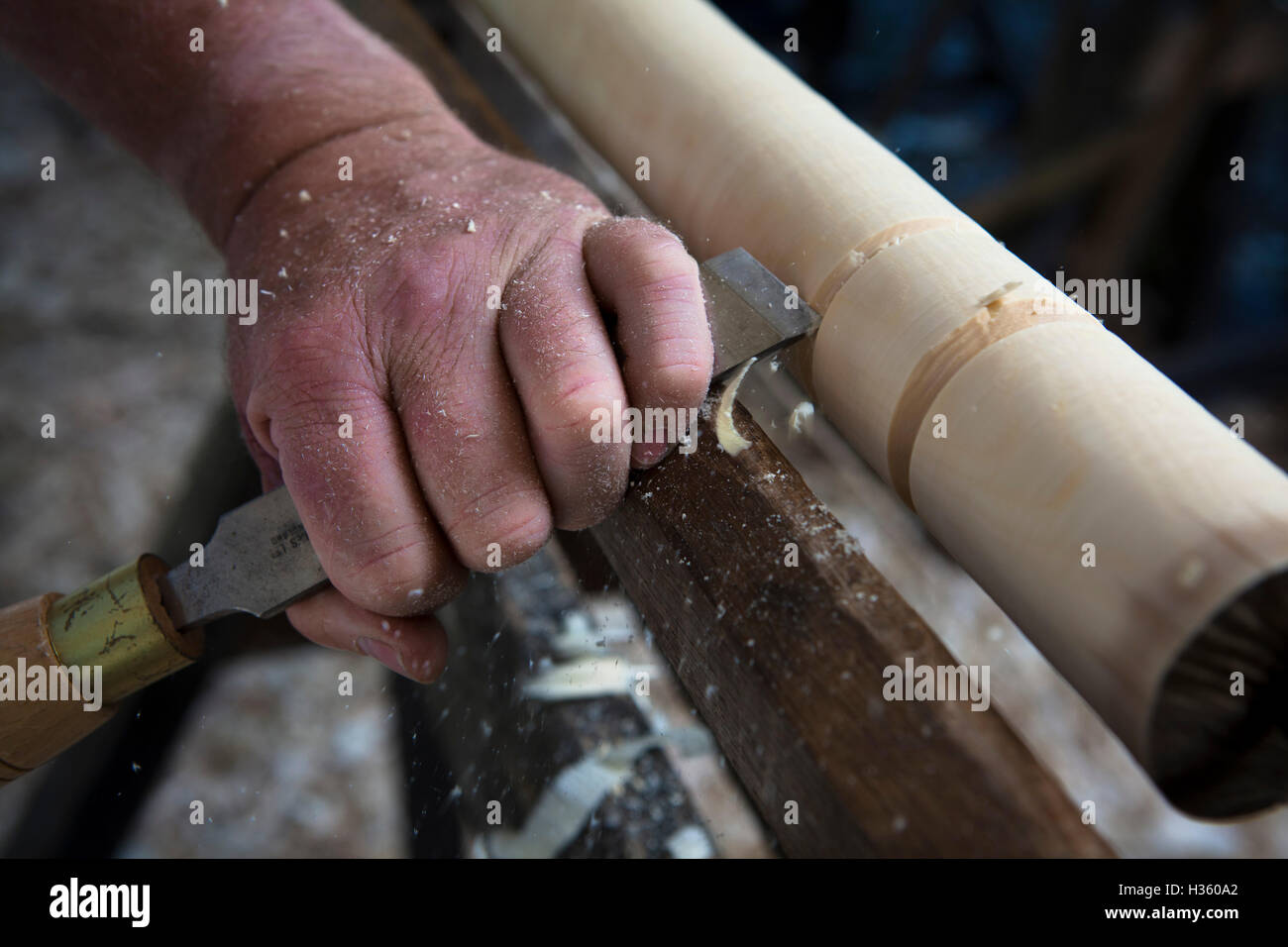 Wenlock Ash tree project. Neill Mapes at the Greenwood Centre ...