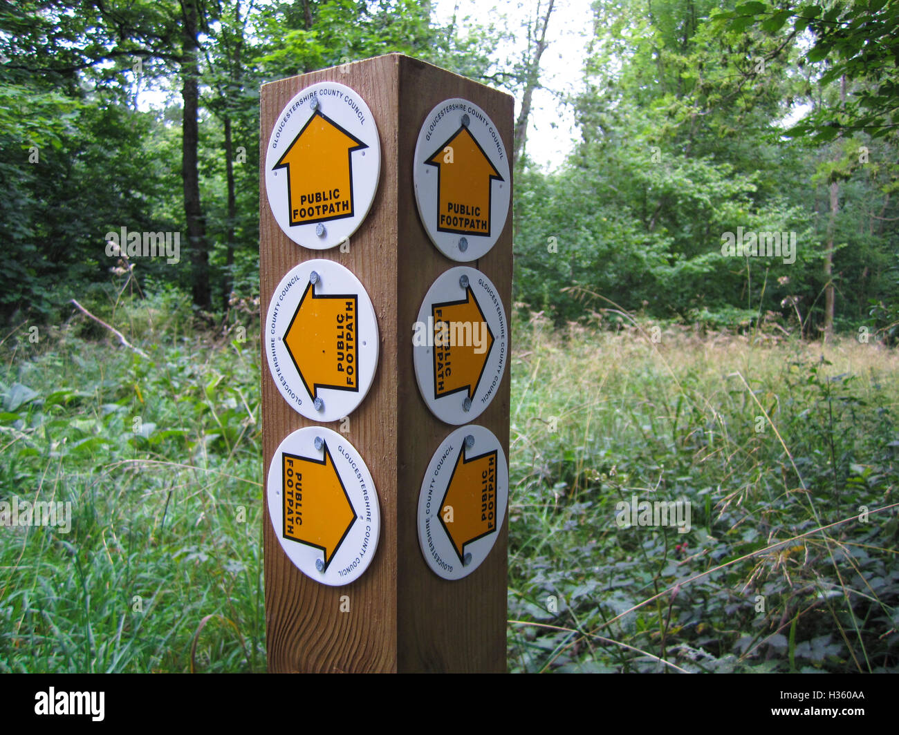 A complicated post of arrows and signs showing the direction of ...