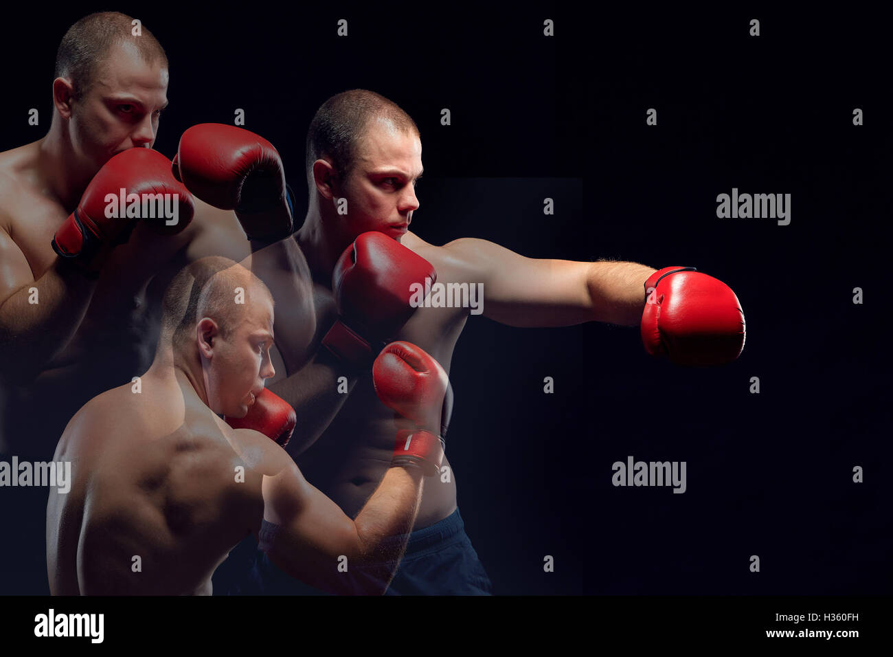Young Boxer boxing Stock Photo - Alamy