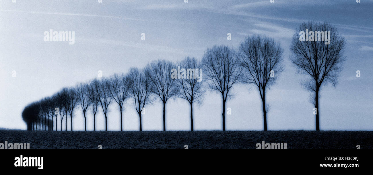 French landscape with leafless tree line in the flat plains adn fields ...