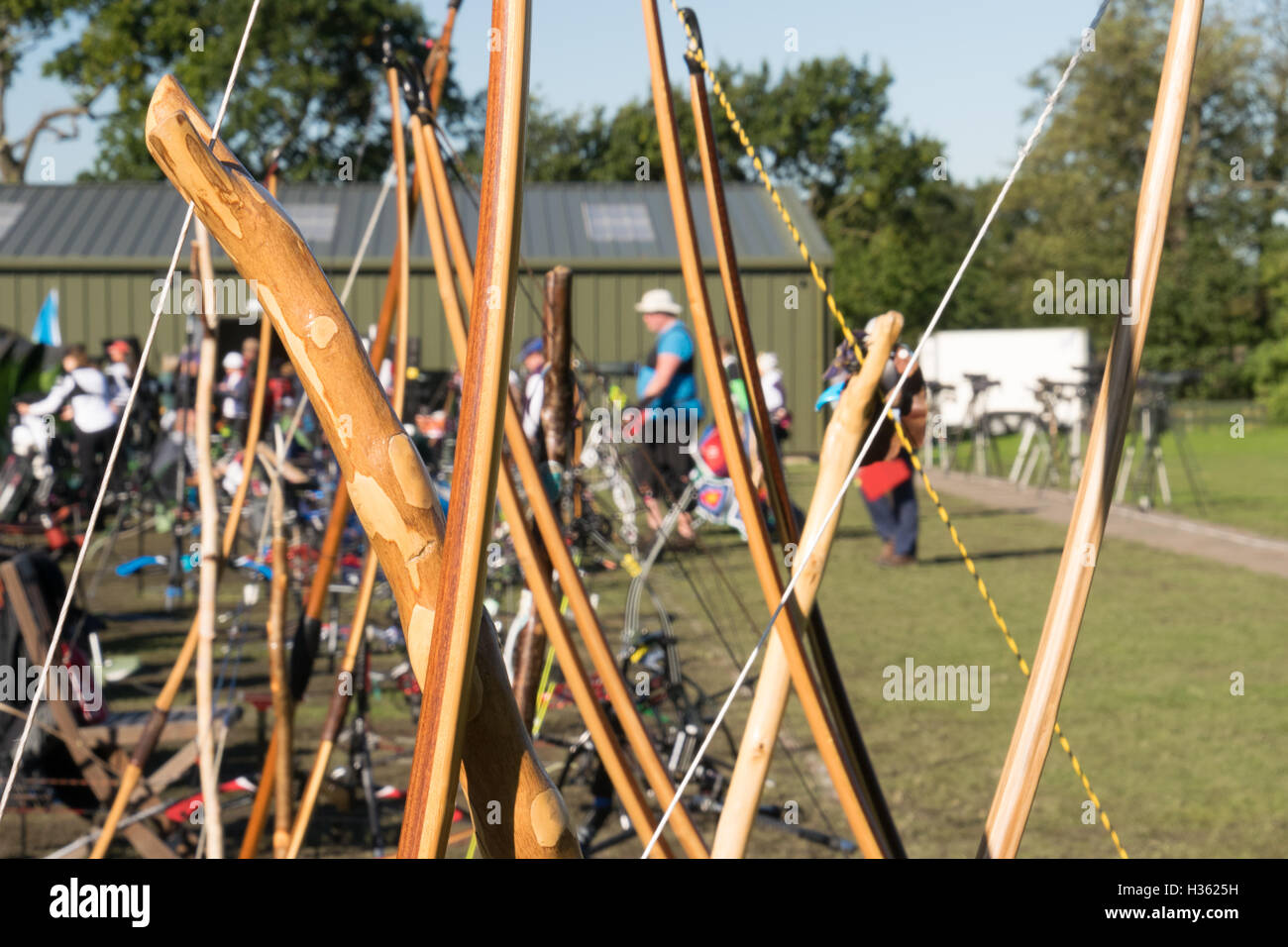 longbows and stands at an archery competition Stock Photo - Alamy