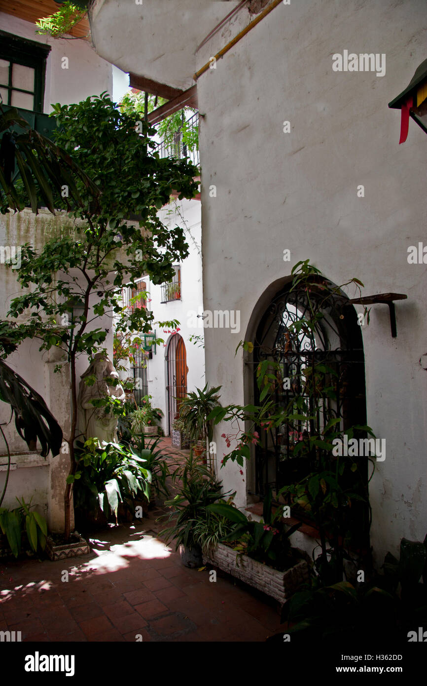 Typical Courtyard of a housing complex in Buenos Aires, Argentina. much ...