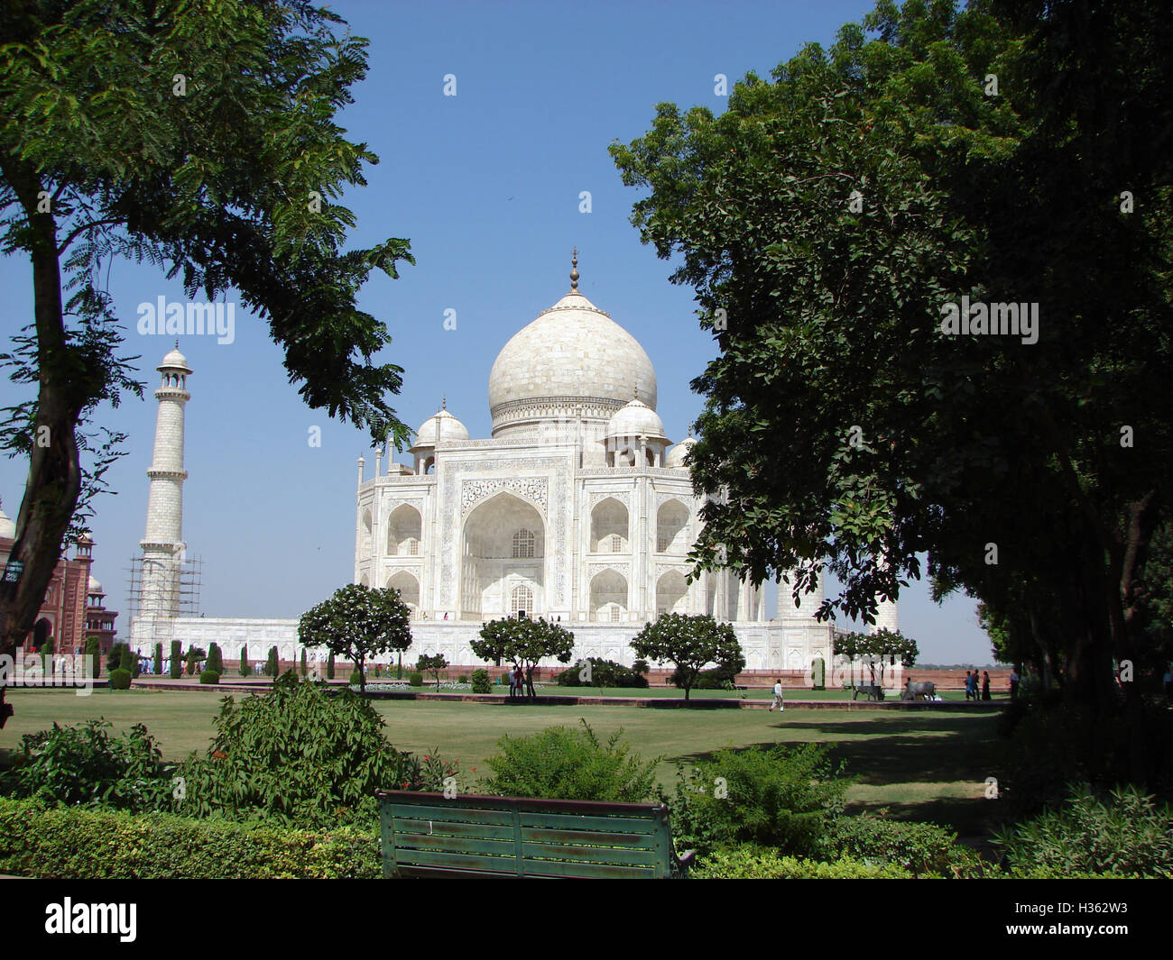 The Taj Mahal as seen from a grove of trees Stock Photo - Alamy