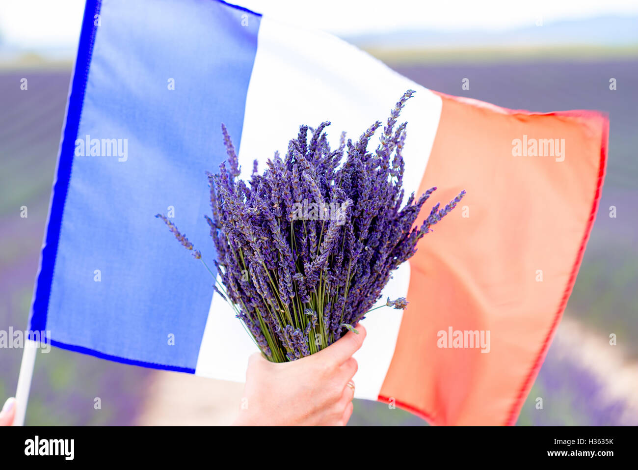 Bouquet with lavender and flag in the field Stock Photo - Alamy