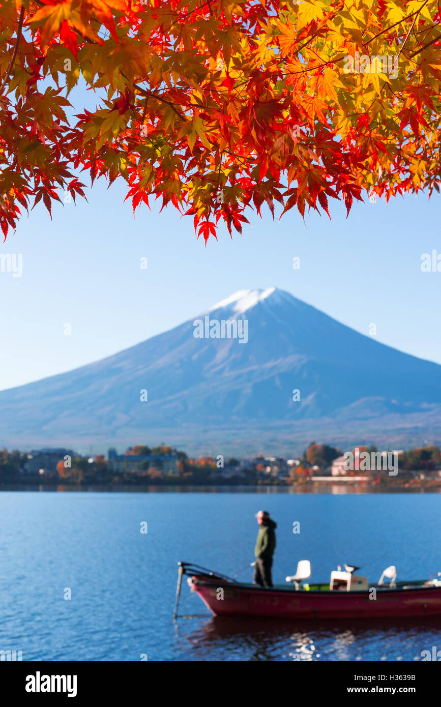 Autumn color red maple and Mount Fuji with morning at lake Kawaguchiko, Japan Stock Photo - Alamy