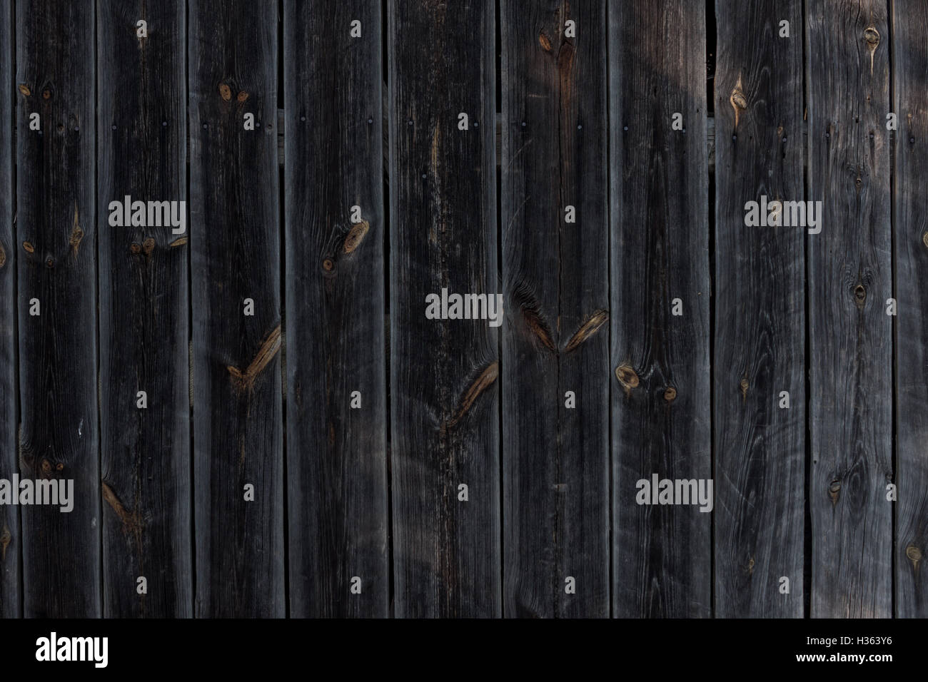 detailed macro photo of old wood texture Stock Photo - Alamy