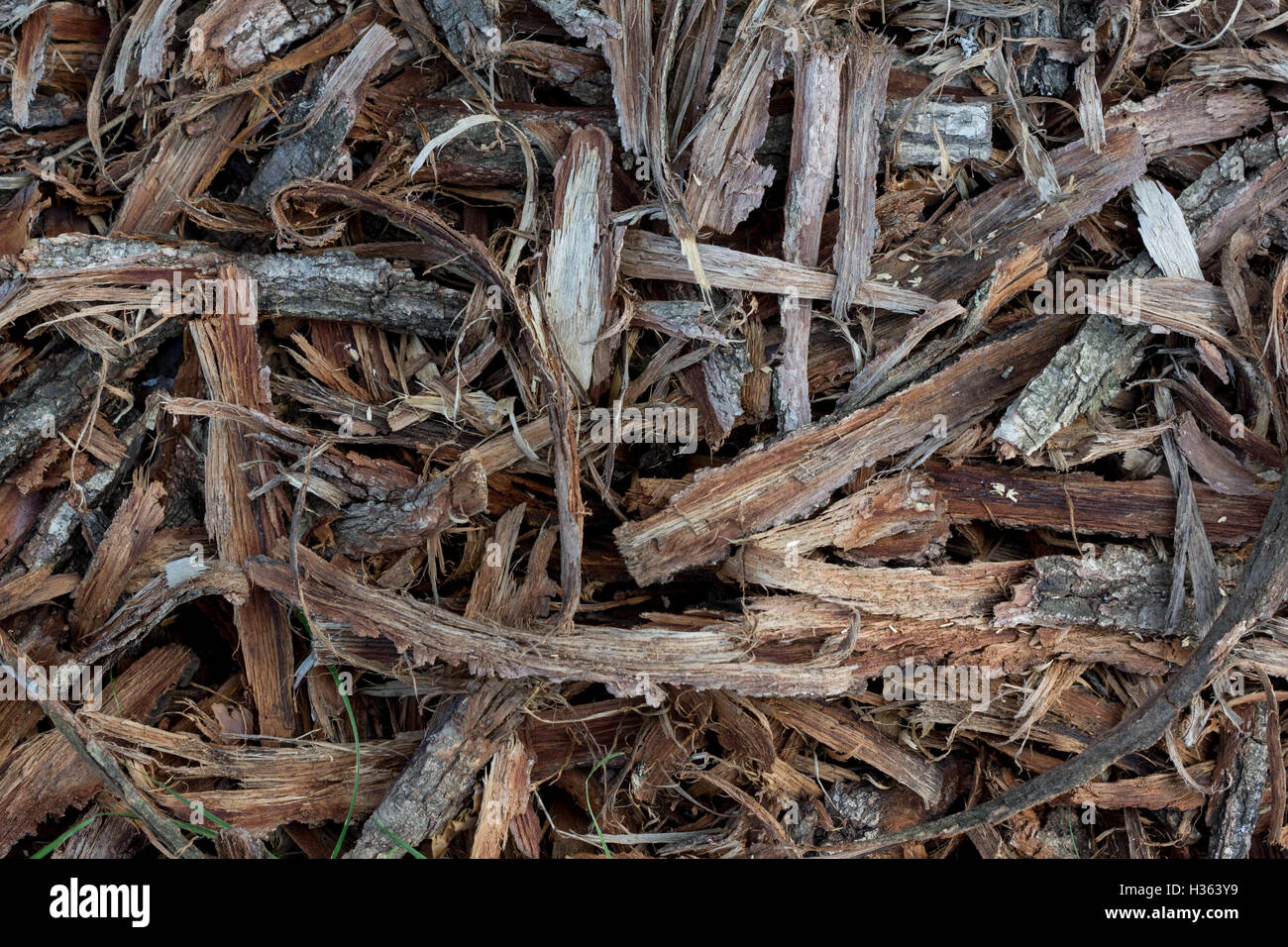abstract composition of a bark lying on a ground Stock Photo - Alamy