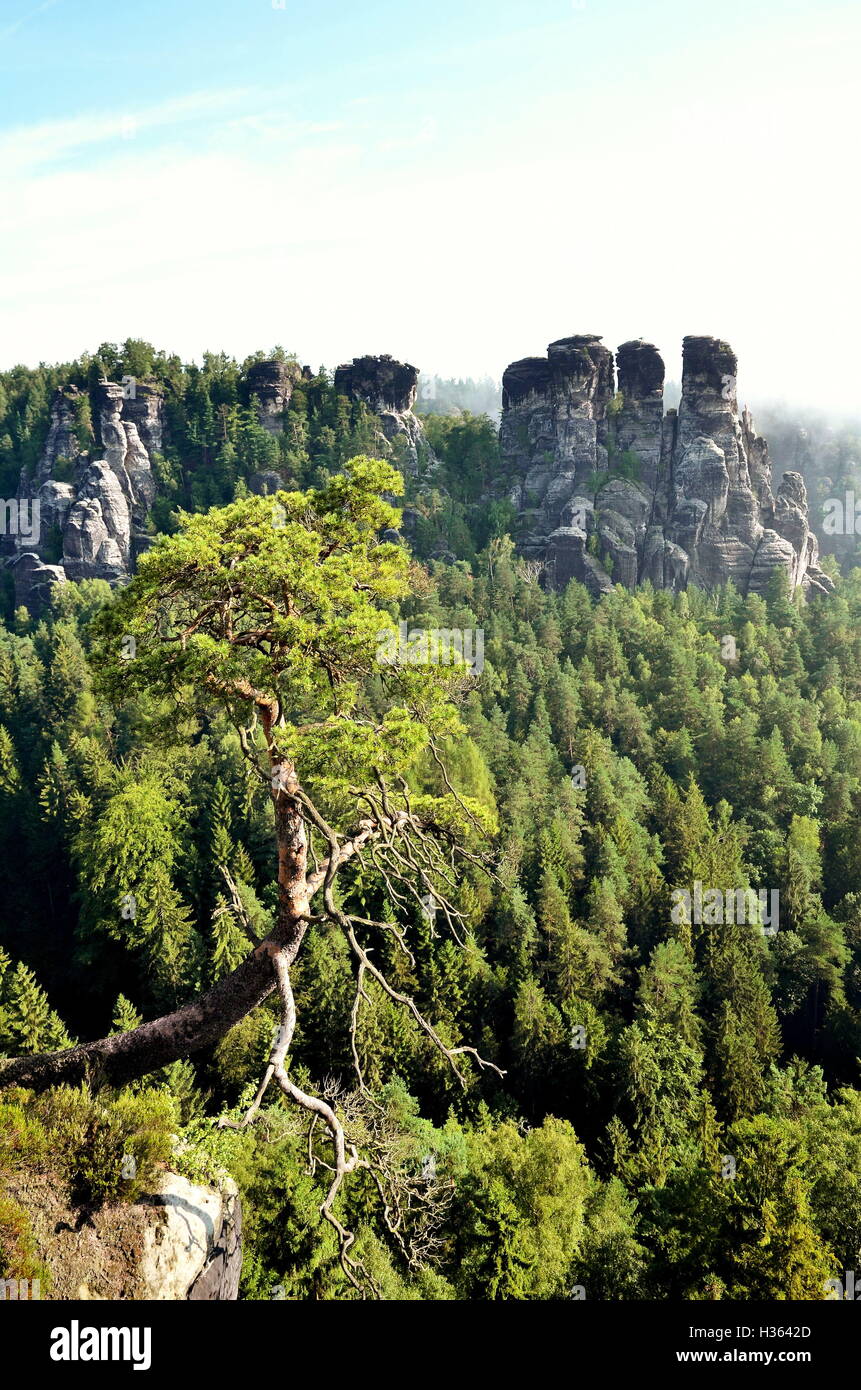 Rock formation Bastei in Saxon Switzerland, Germany Stock Photo - Alamy