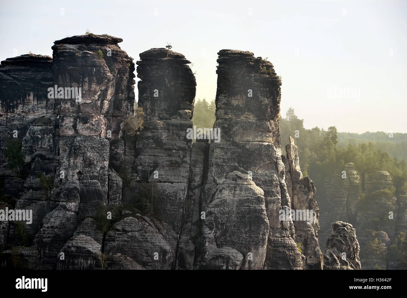 Rock formation Bastei in Saxon Switzerland, Germany Stock Photo - Alamy