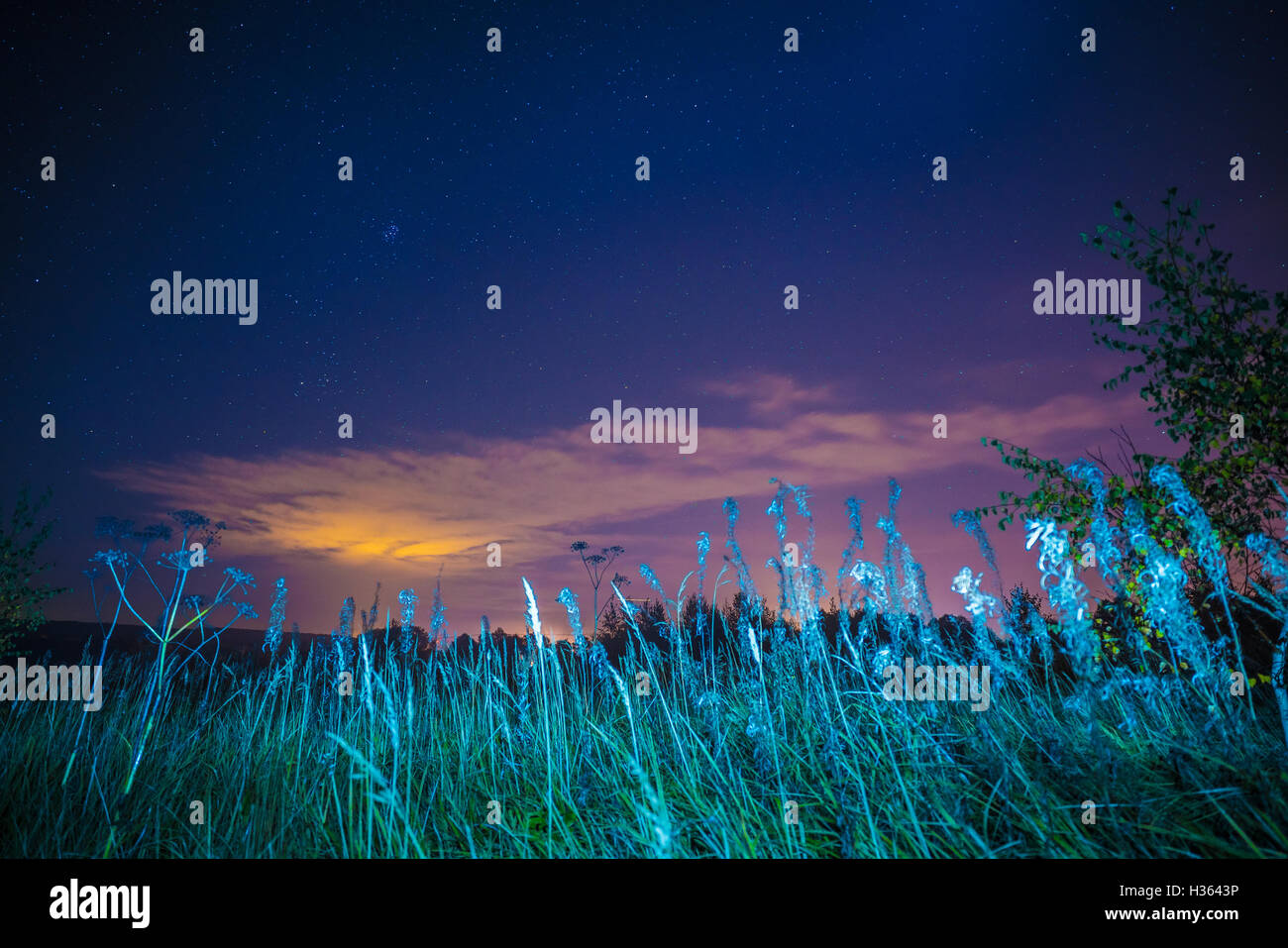 Night landscape with field herbs, stars and clouds Stock Photo - Alamy