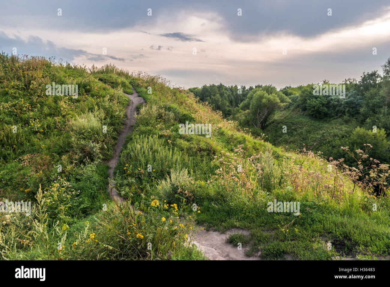 Pathway on a hill with wildflowers Stock Photo - Alamy