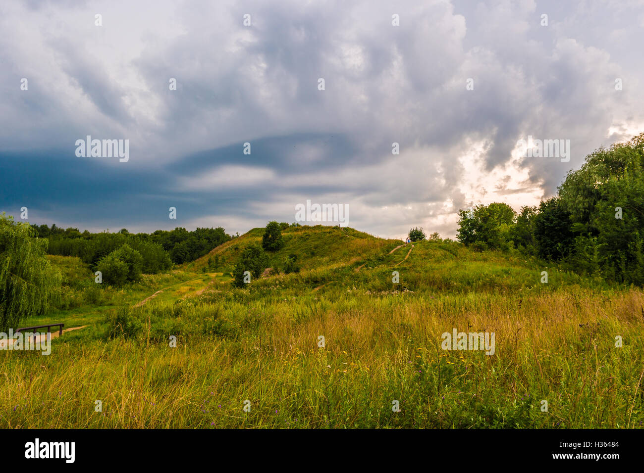 Pathway on a hill with wildflowers Stock Photo - Alamy