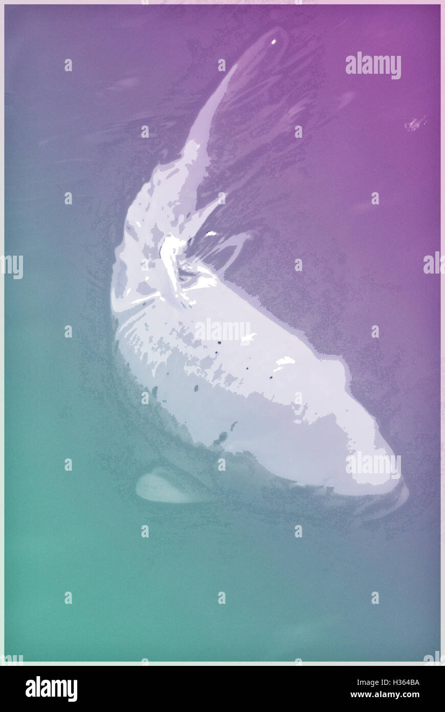 Turbid waters hi-res stock photography and images - Alamy