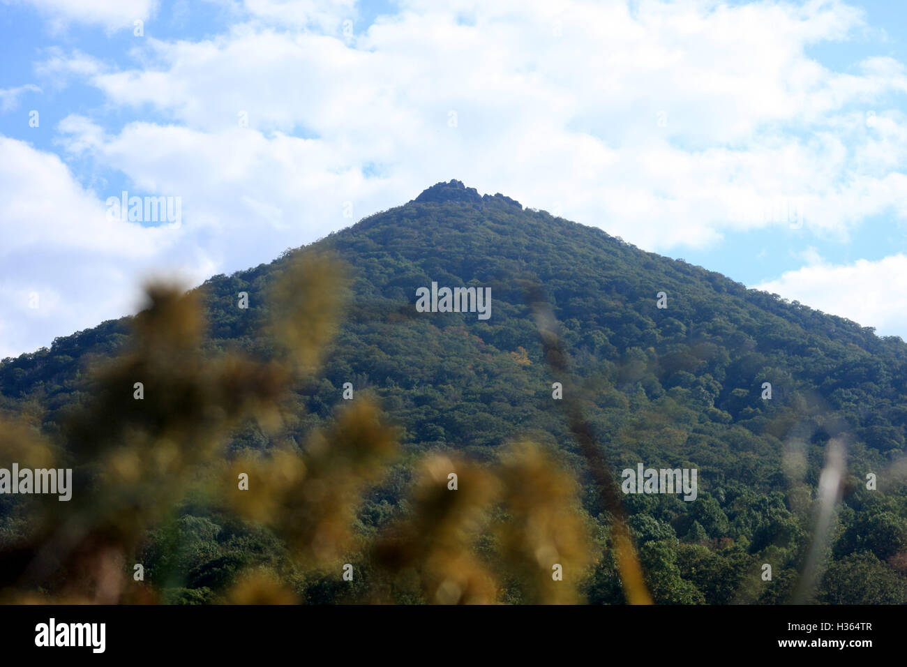 Virginia, USA. View of Sharp Top in autumn Stock Photo - Alamy