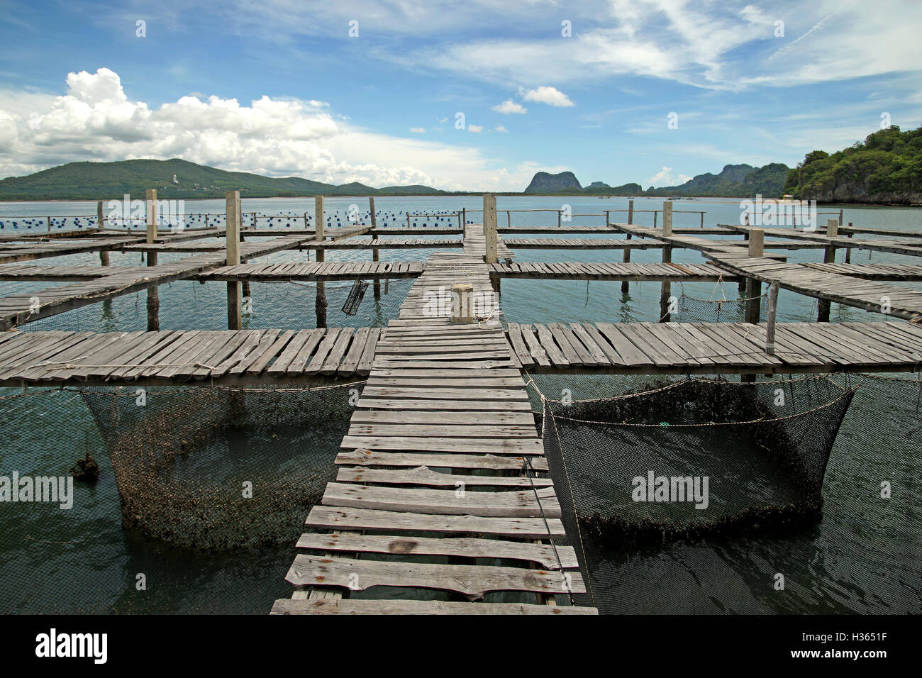 wooden jetty in the sea with beautiful sky background Stock Photo - Alamy