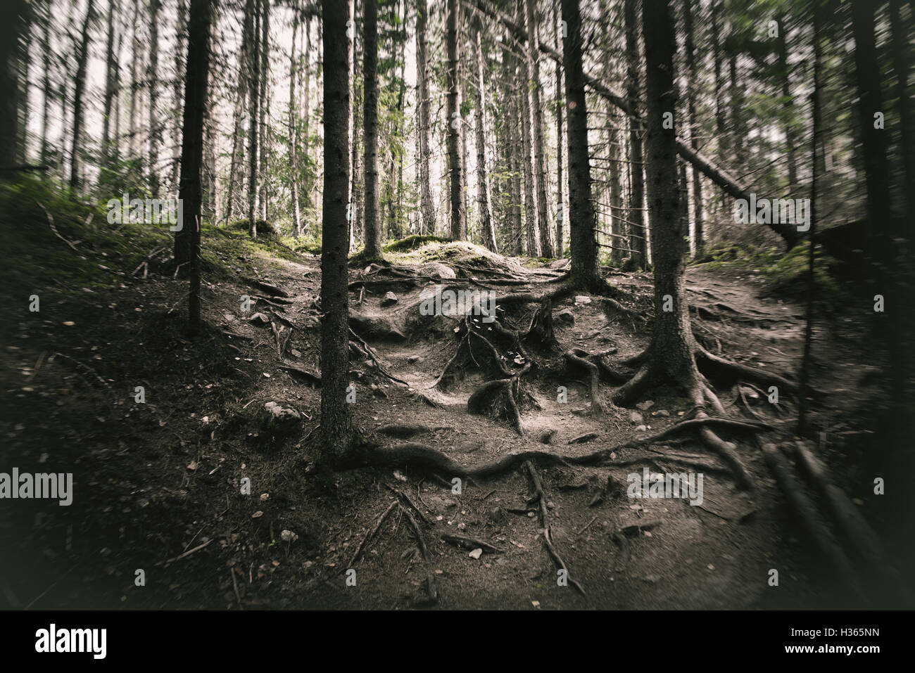 Rough hiking hi-res stock photography and images - Alamy