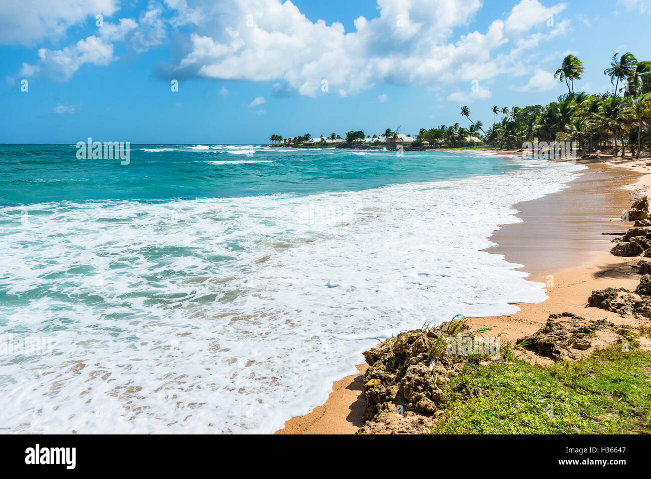 Panoramic landscape empty beach hi-res stock photography and images - Alamy