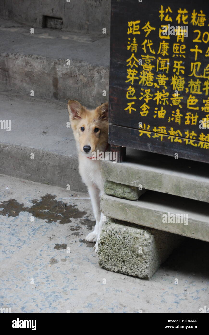 China village notice board hi-res stock photography and images - Alamy