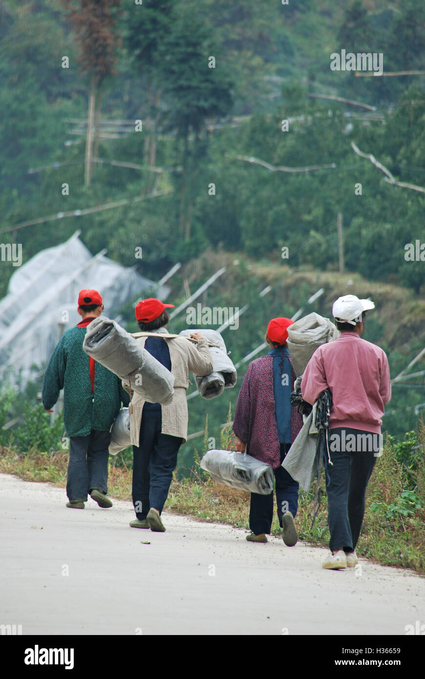 Four female countryside workers carry their equipment down the road in ...
