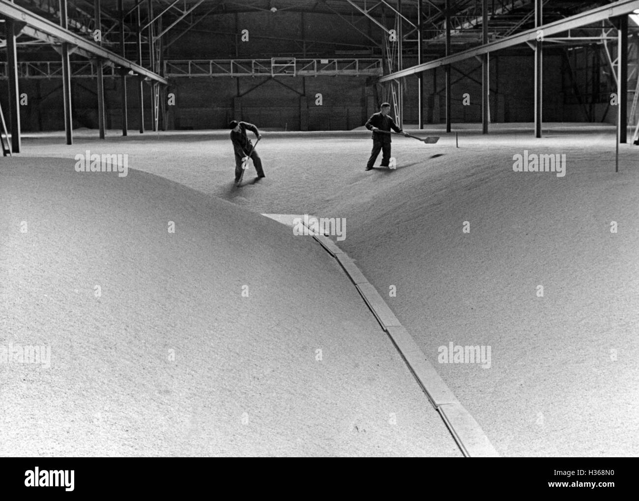 Workers in a grain silo, 1930s Stock Photo - Alamy