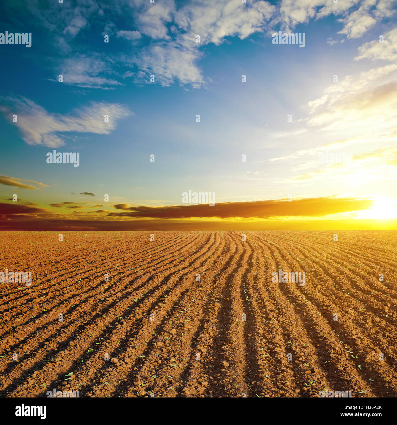 cloudy sunset and plowed field Stock Photo - Alamy